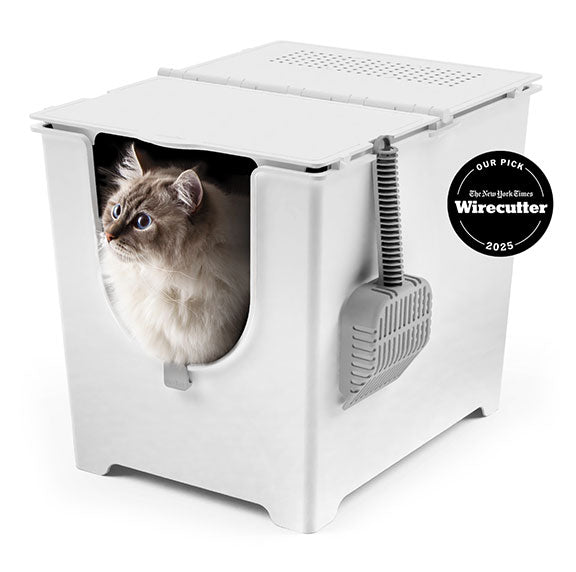 Flip Liners | Type F (3-Pack) - Modkat CA